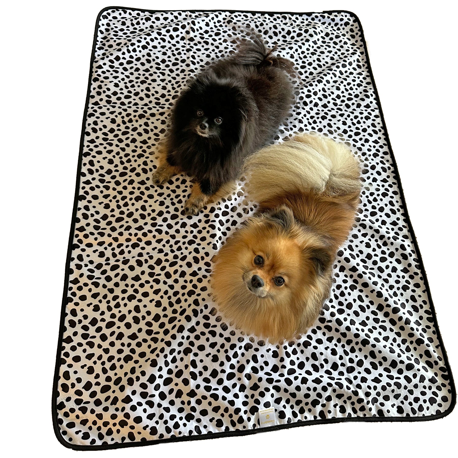 House Training Aid Glenndarcy Luxury Dog Belly Band - Rainbow Design ...